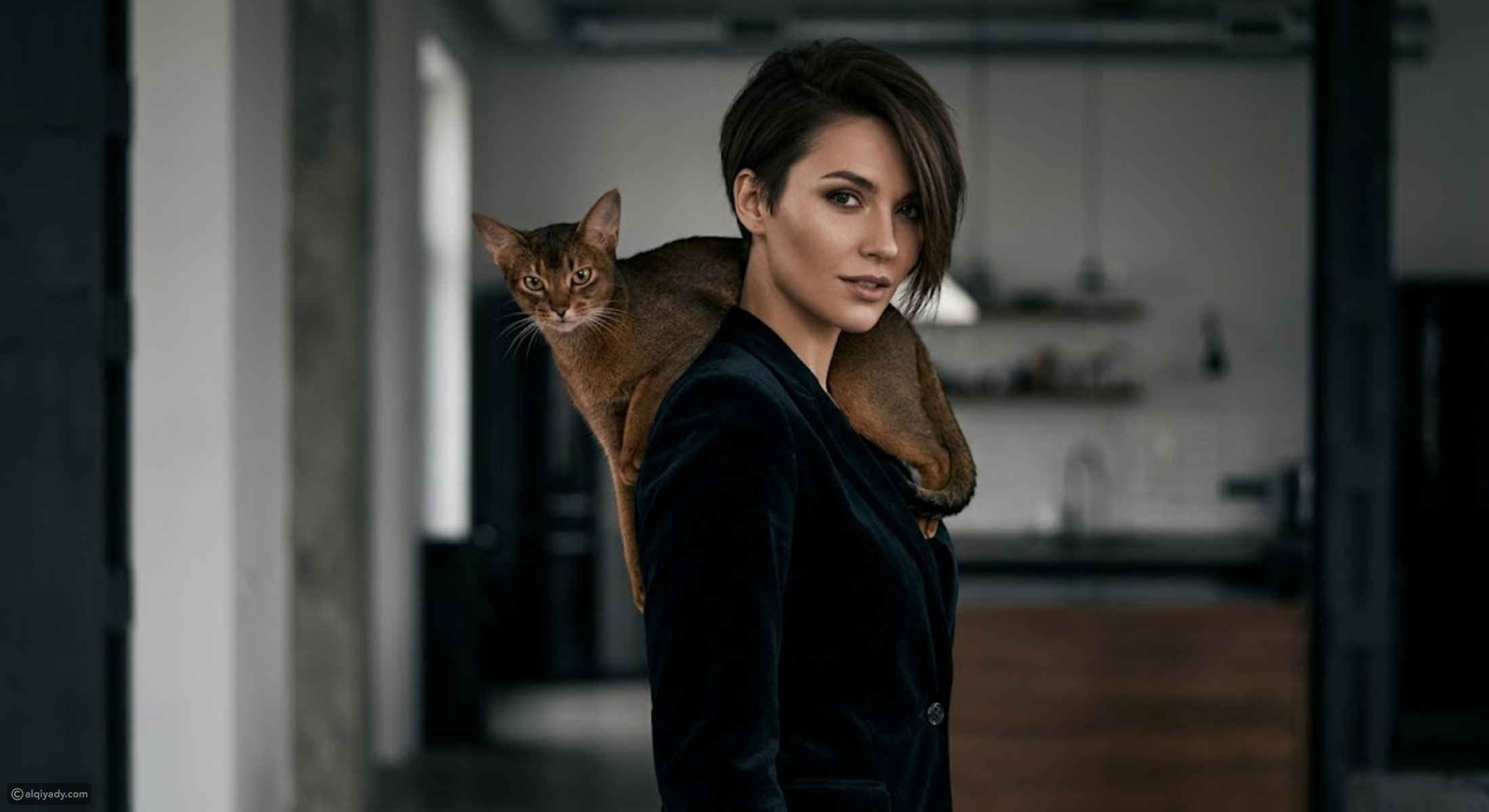 Dark reasons humans keep cats as pets, according to experts