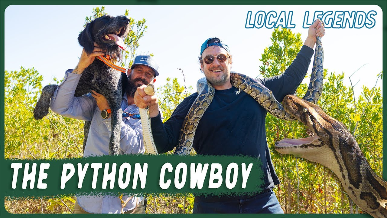 Inside the search for giant pythons in the Everglades
