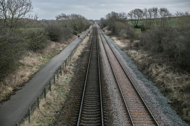 Fallen tree removed from train line near York