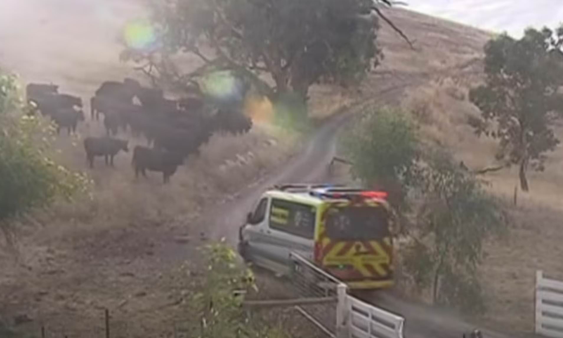 Easter tragedy as girl, 7, dies from her injuries after riding on ATV ...
