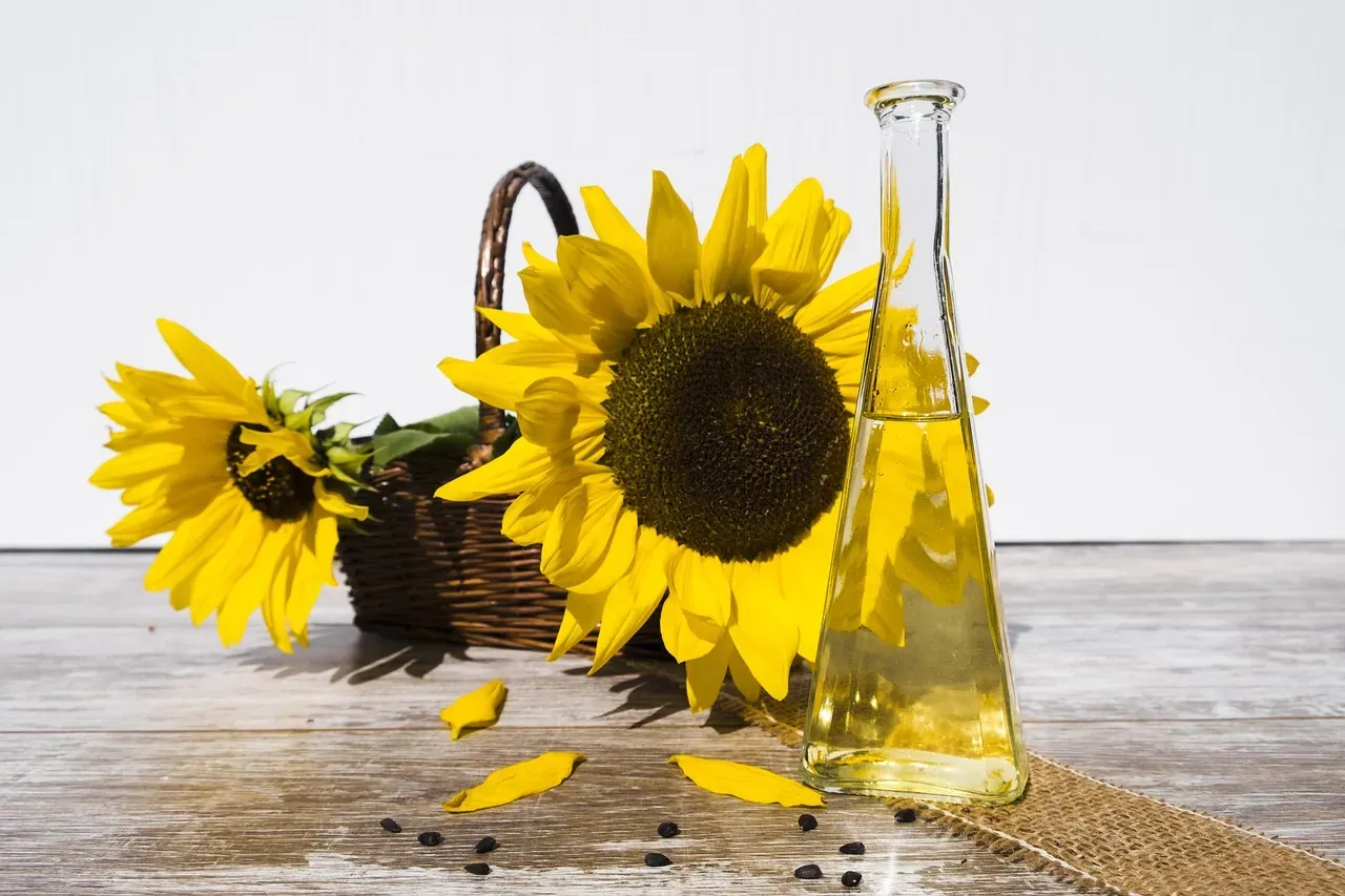 The healthiest cooking oils, ranked from least to most healthy