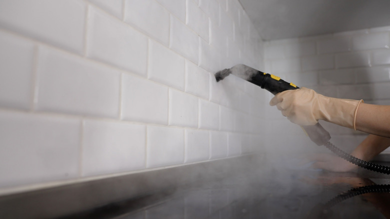 10 of the best handheld steam cleaners for deep cleaning your home
