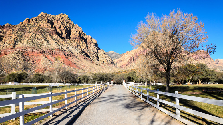 Nevada's rustic state park outside Las Vegas is a sprawling ranch with ...