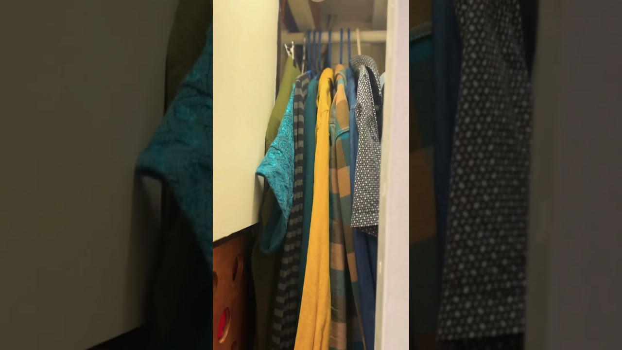 Our tiny house closet is like the Tardis