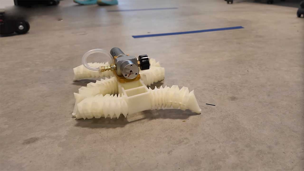 Researchers 3D-print single-cell-size robots that move without a brain
