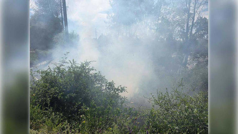 Squirrel damages PG&E pole, sparks vegetation fire, Auburn police say