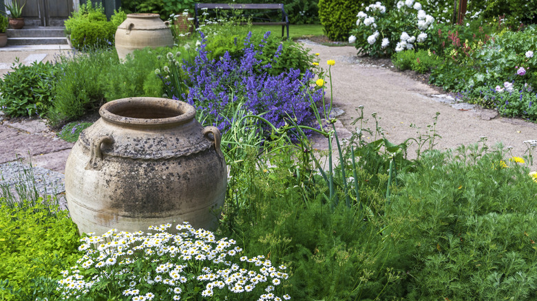 12 popular herbs make the perfect filler plants for your garden