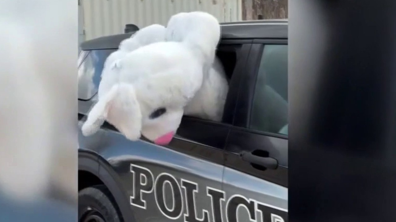 Grosse Ile police stage Easter Bunny escape inspired by viral Michigan ...