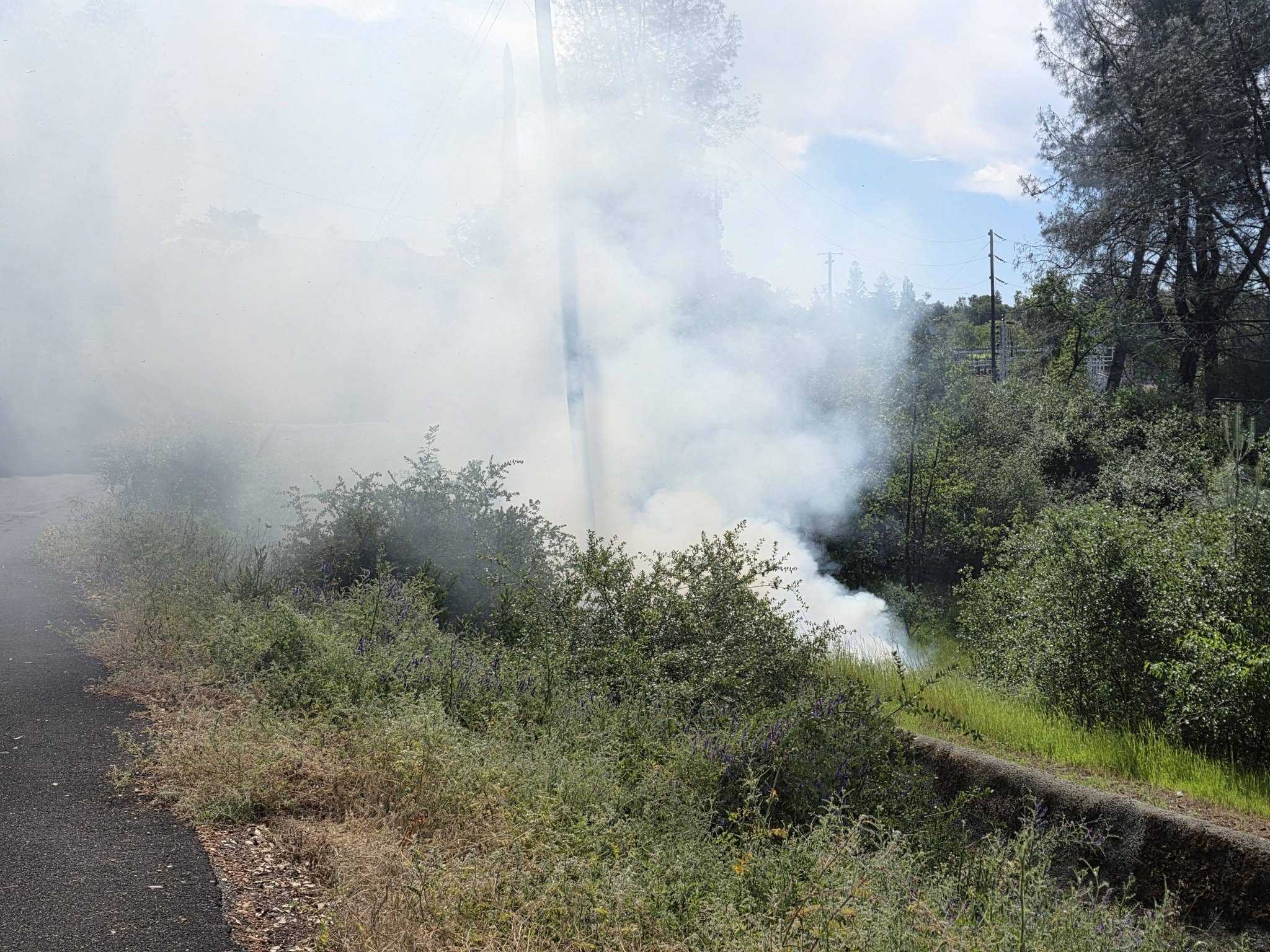 Squirrel damages PG&E pole, causing widespread outages, fire in Auburn