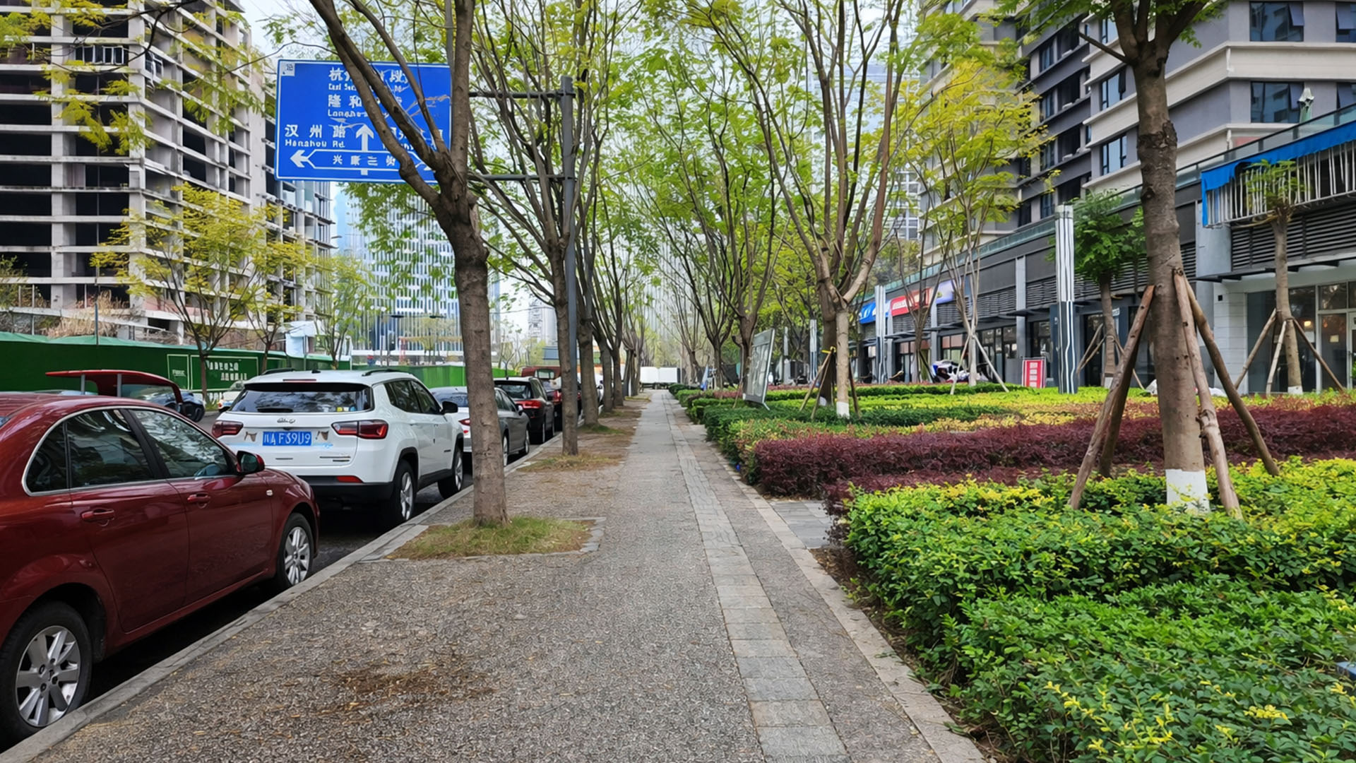 Modern sidewalk design blends with nature in China streets