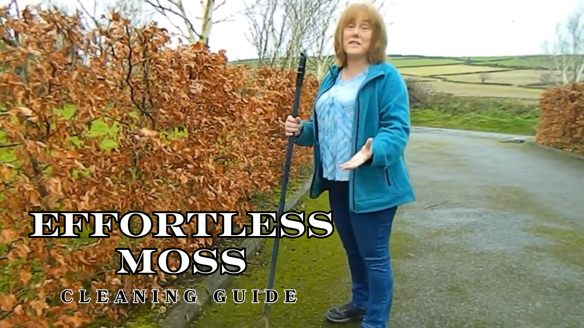 Effective and easy moss removal techniques