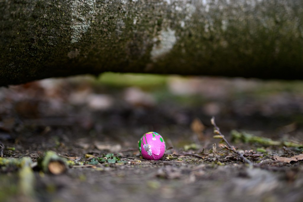 Mum, 21, and baby crushed to death during forest Easter egg hunt in Germany