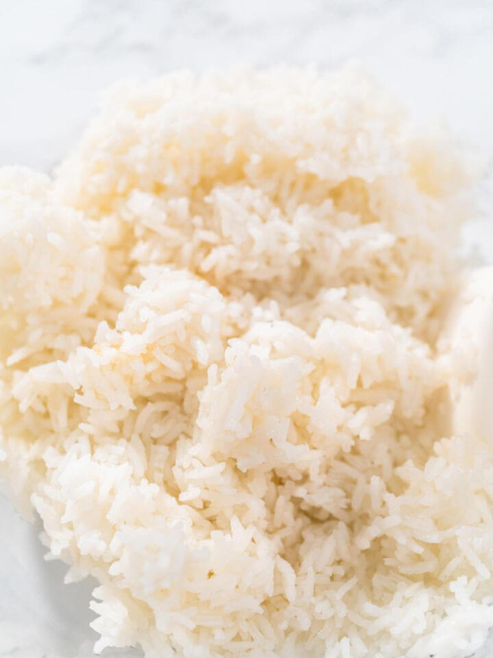 Rice cooker white rice