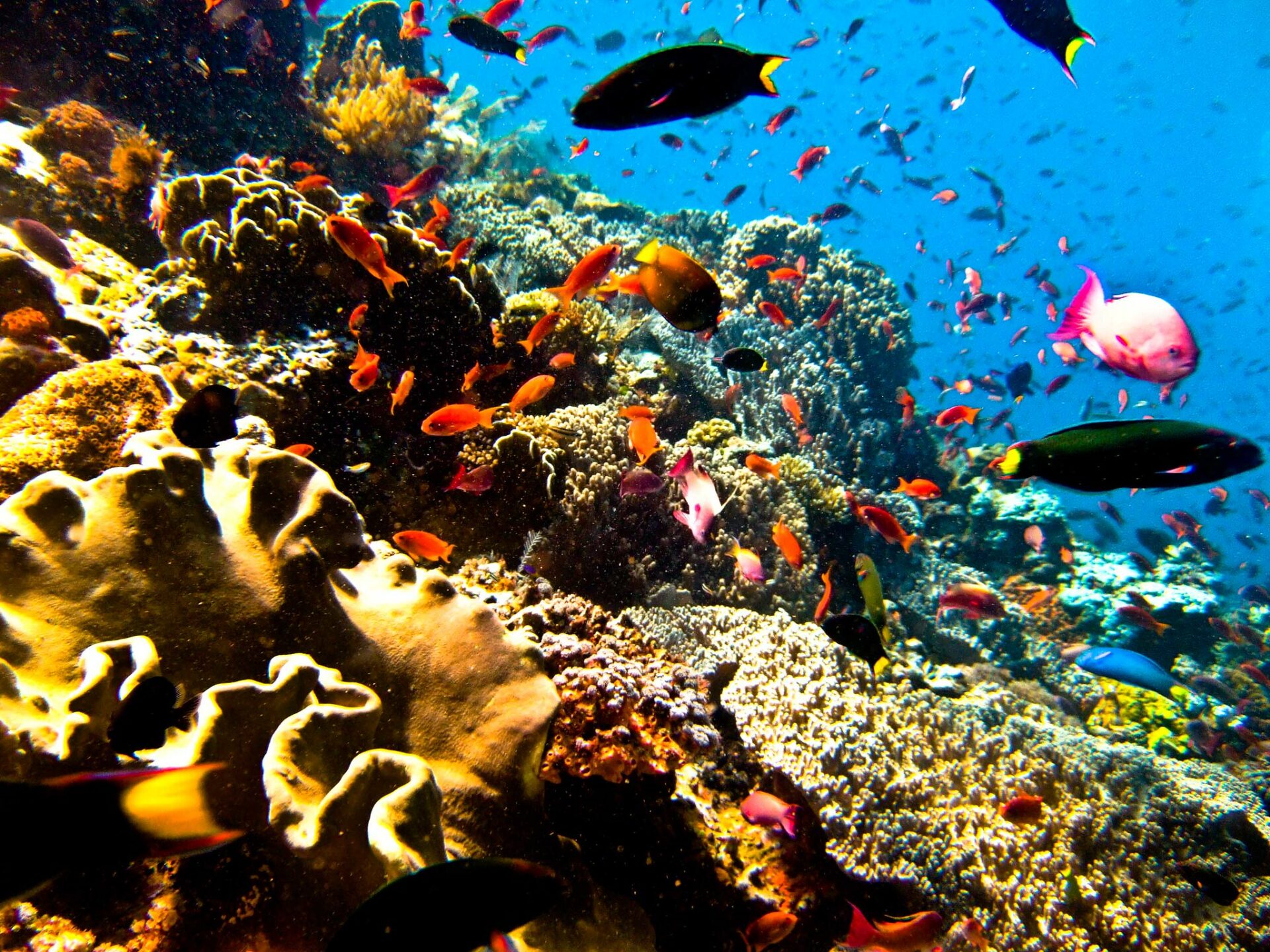 18 surprisingly affordable island getaways perfect for boomers