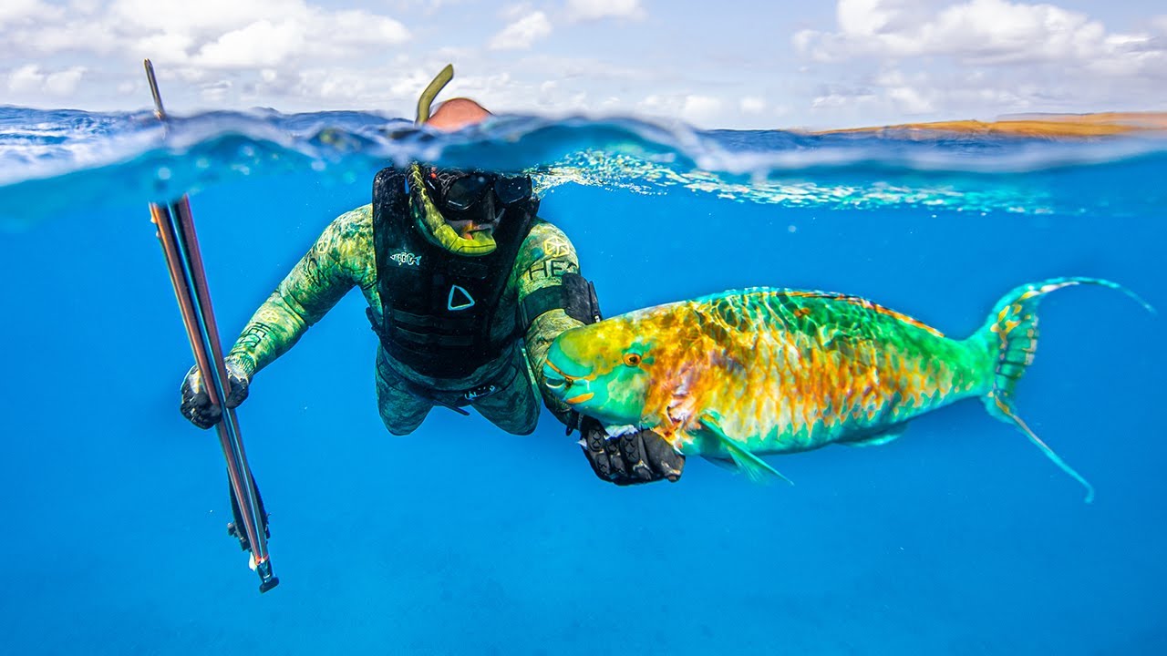 Parrotfish catch & cook with spearfishing adventure