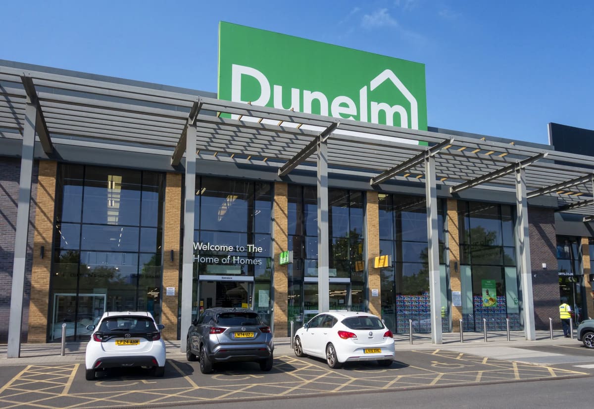 £15 screen at Dunelm: The garden trick that finally gives you privacy
