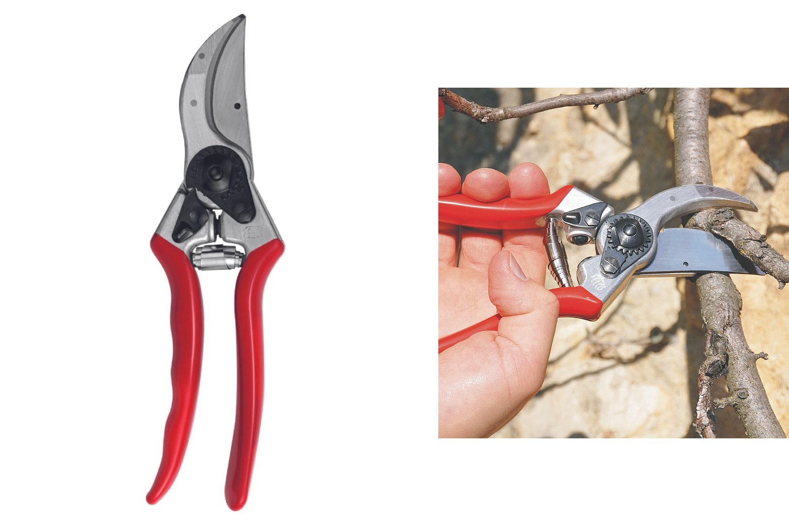 Gardening: Must-have tools and accessories for a thriving outdoor space
