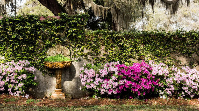 Georgia's secluded Cumberland Island inn is a wildly romantic getaway ...