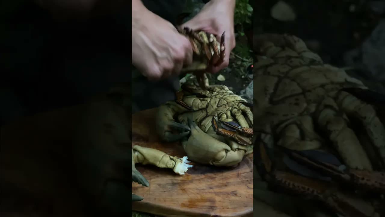 He was challenged by the crab and it was a big mistake!