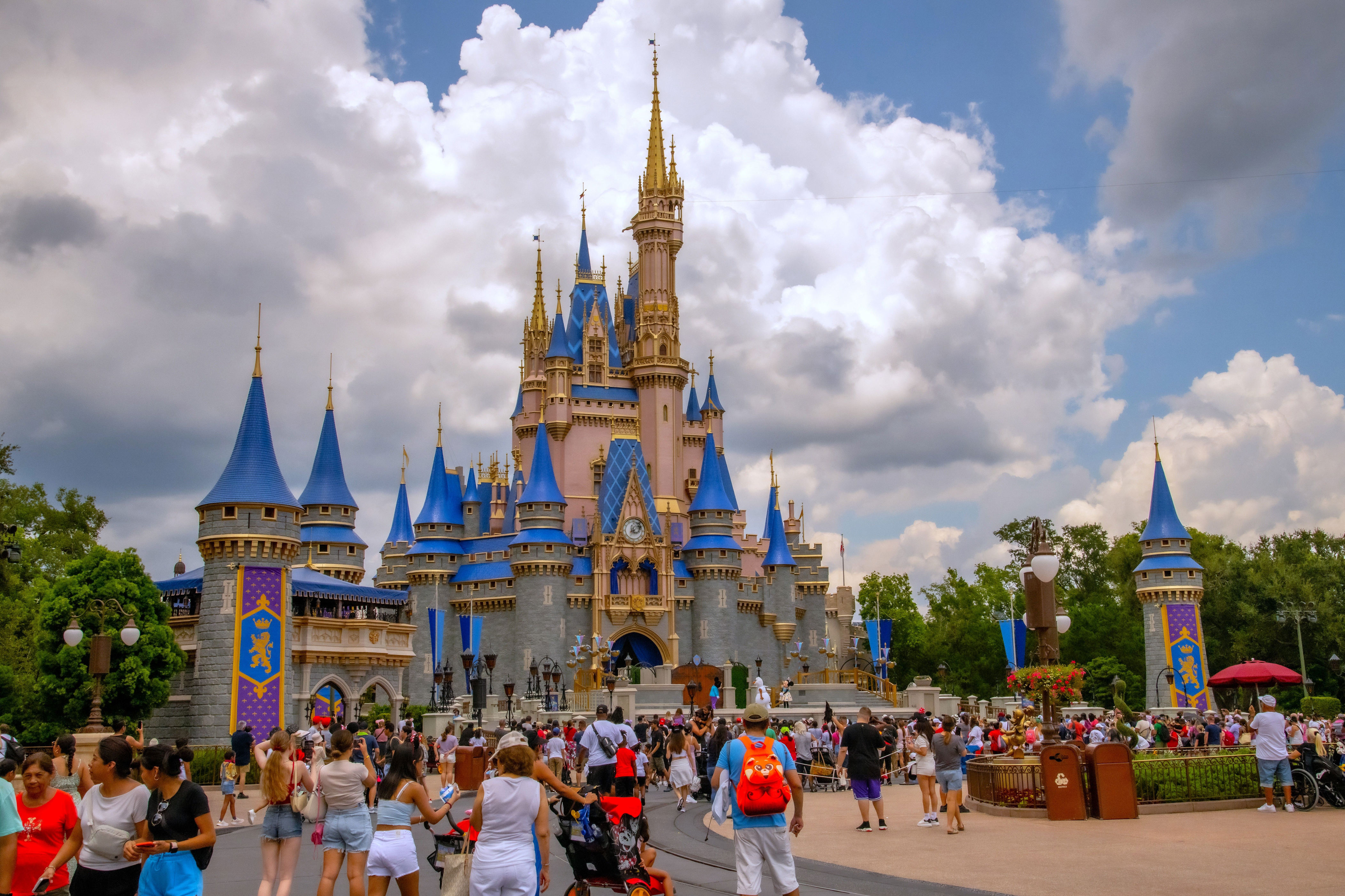 Disney World alligator warning issued for at least three different ...