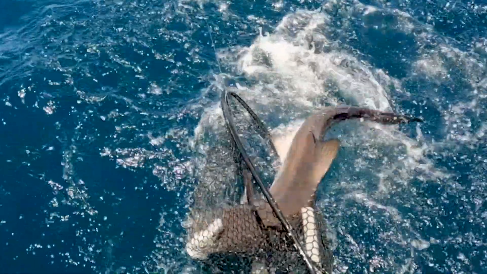 Don't make the same mistake as me while fishing