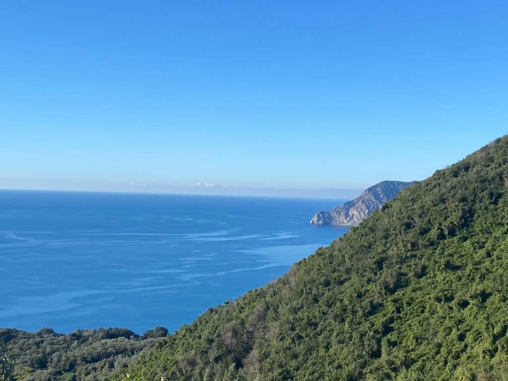 Noleggio e locazione unità da diporto nell’Amp delle Cinque Terre ...