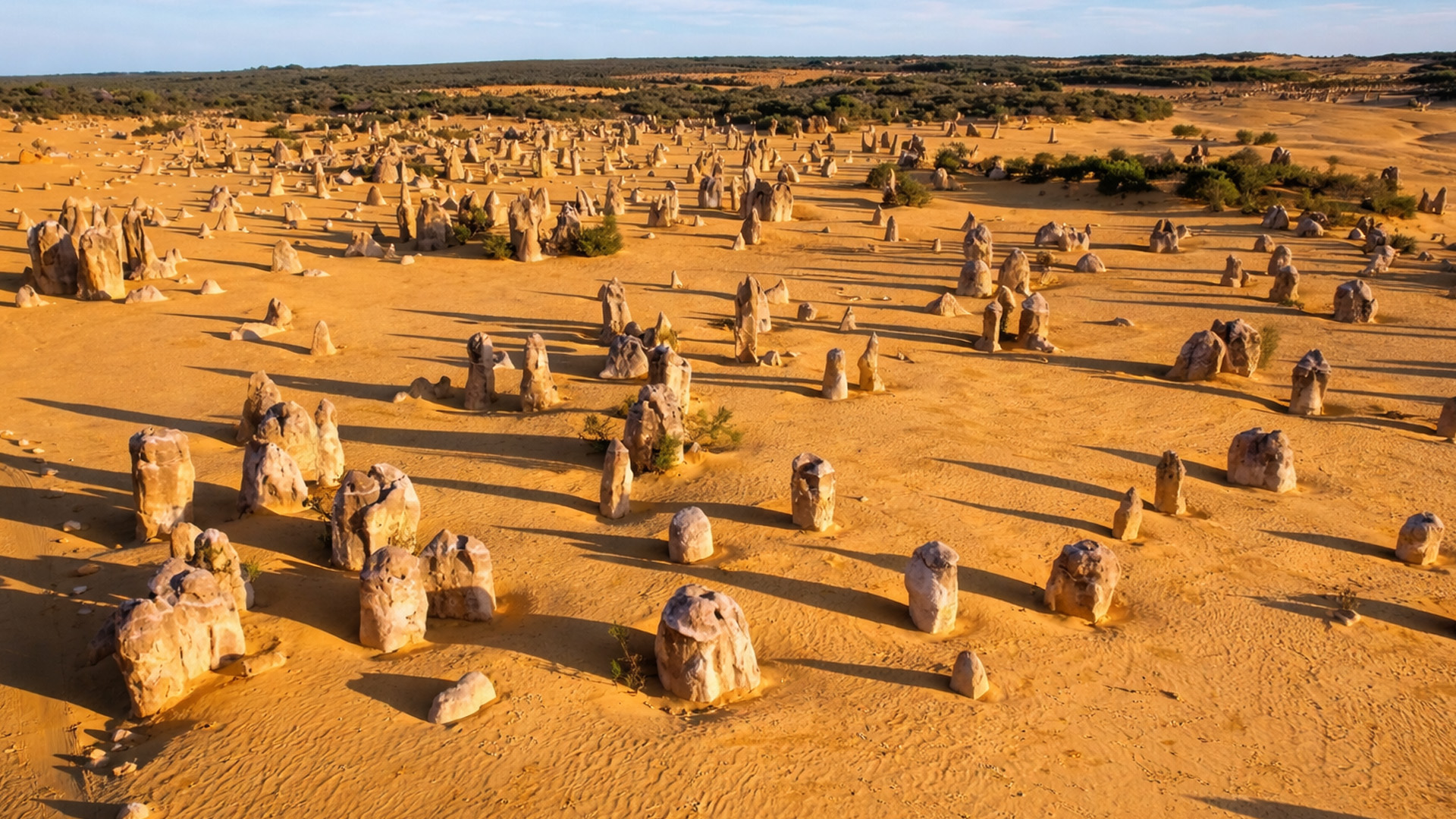 Thousands of stones rising from empty ground