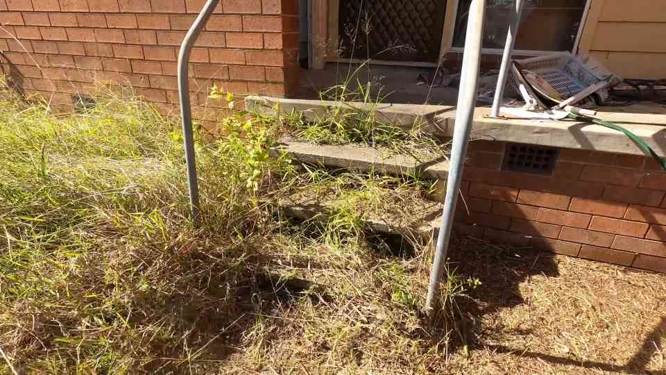 Trying To Fix Up A 8 Year Overgrown And Unkept Yard