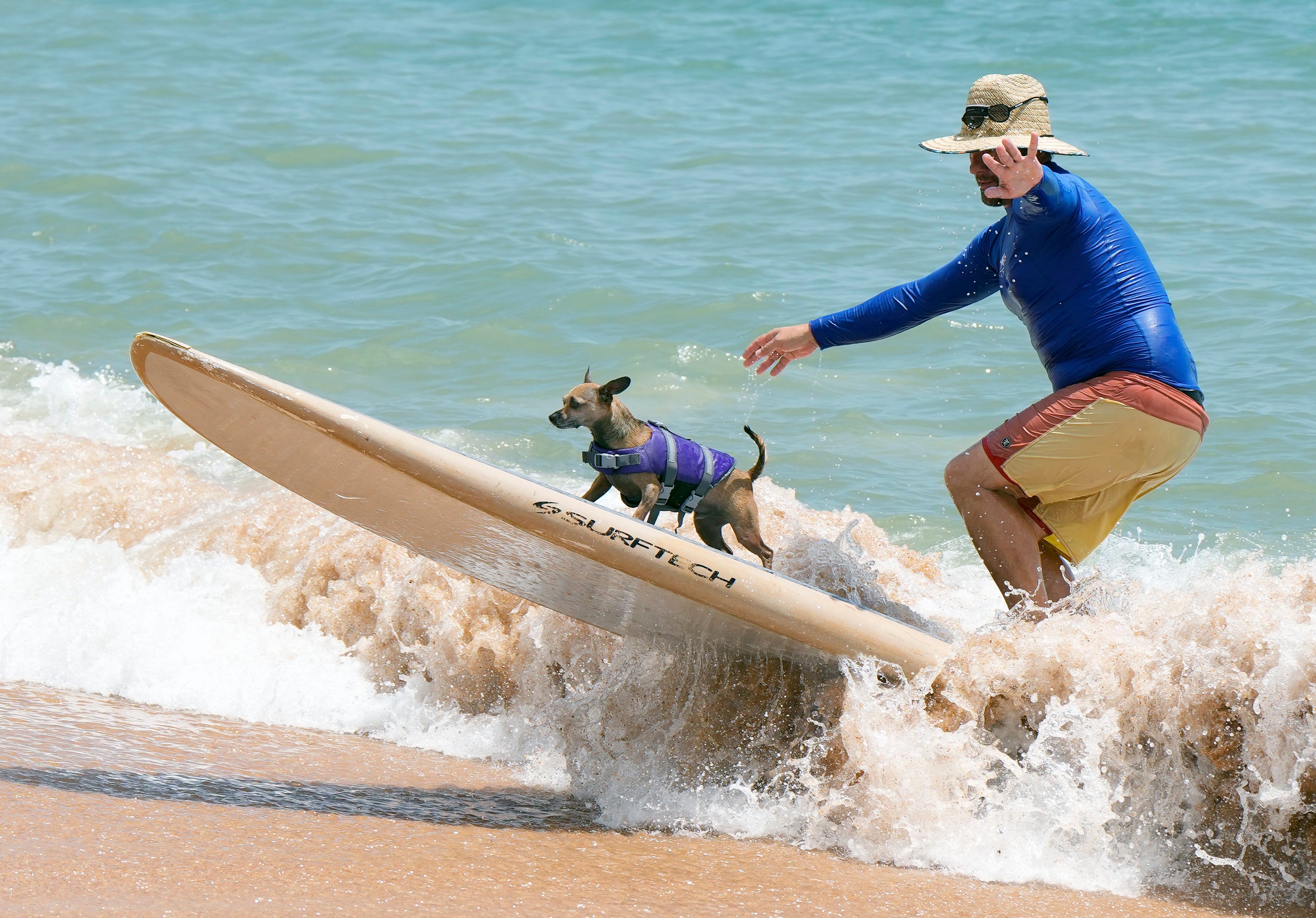 Watch Dogs catch waves May 31 at Hard Rock Hotel Daytona Beach