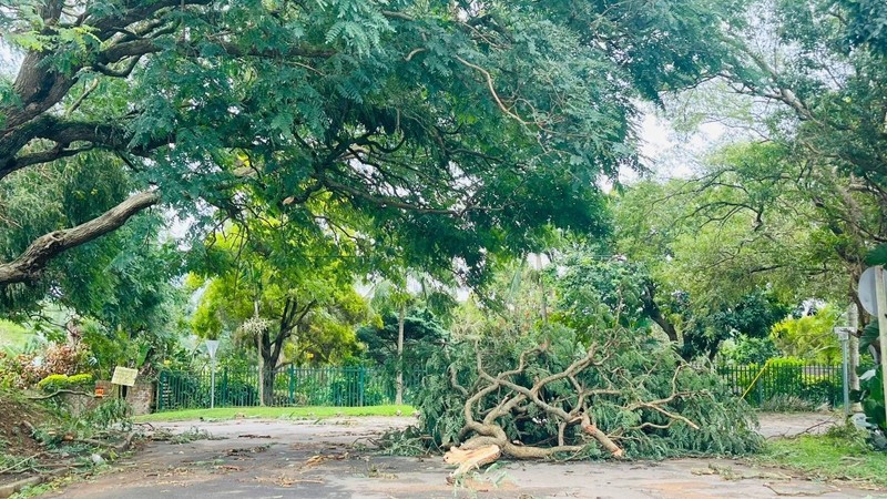 KZN storm: Disaster teams deployed in Durban and PMB after damage to ...
