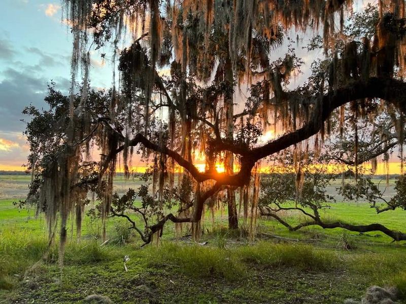 Florida looks like a vacation, here’s why living there is different