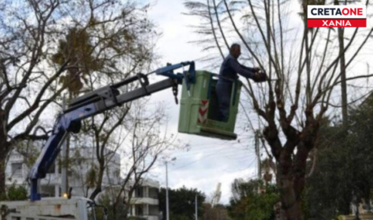 Δήμος Χανίων: Εργασίες κλαδέματος αύριο Μεγάλη Τρίτη 07/04