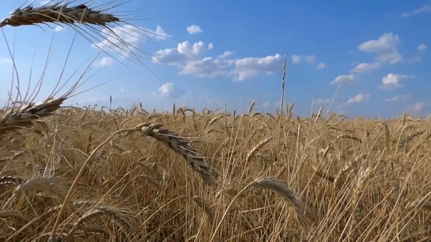 Common words with surprising mythological origins