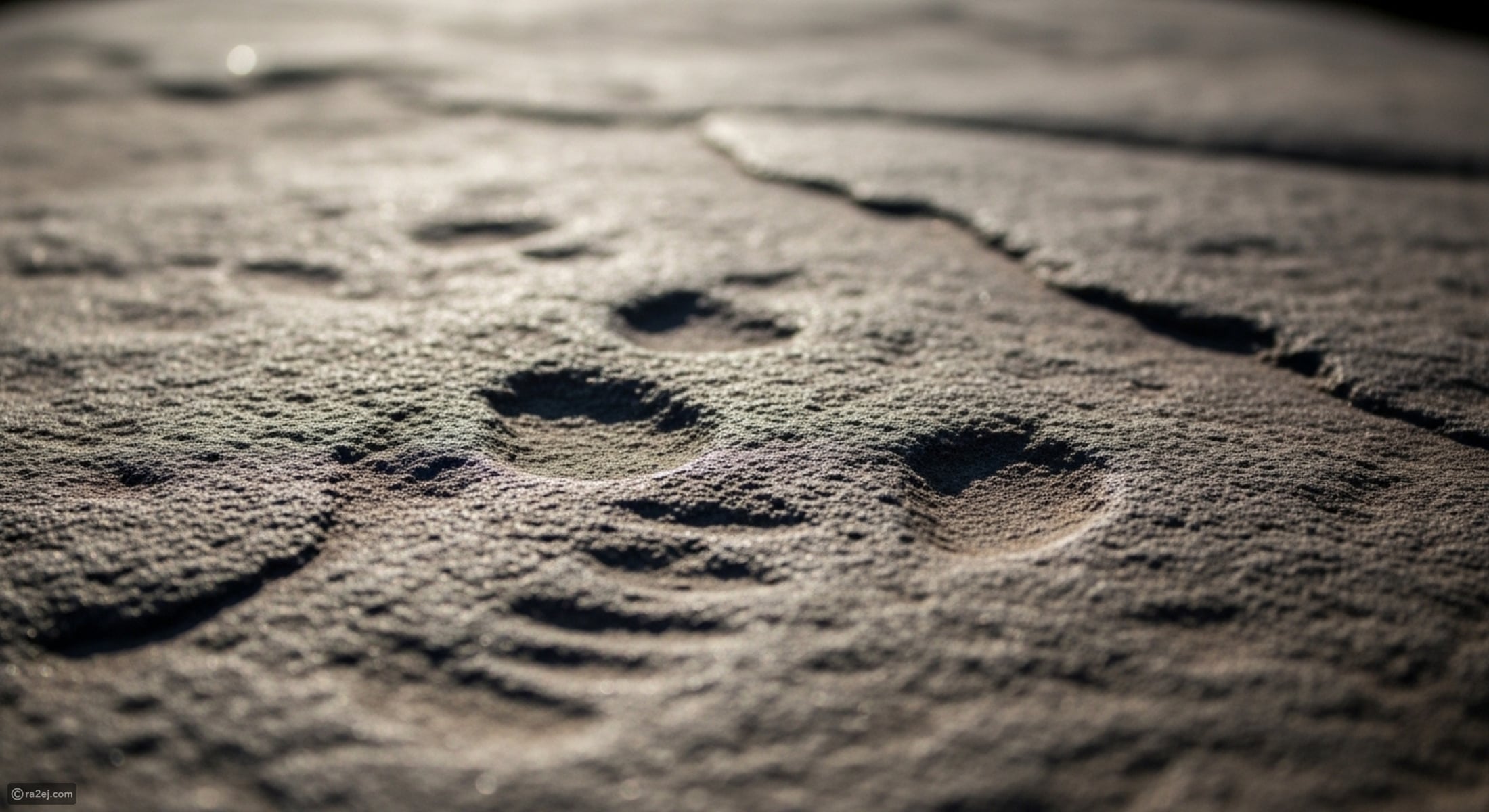 Ancient discovery emerges as waters recede, revealing 11,000-year-old ...