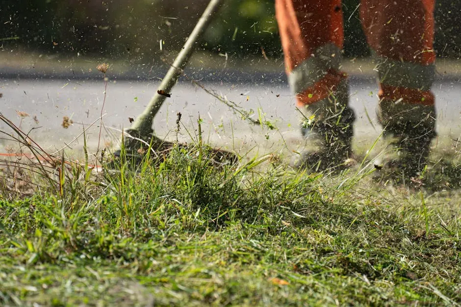 10 lawn care mistakes you should never make after mowing (but most ...