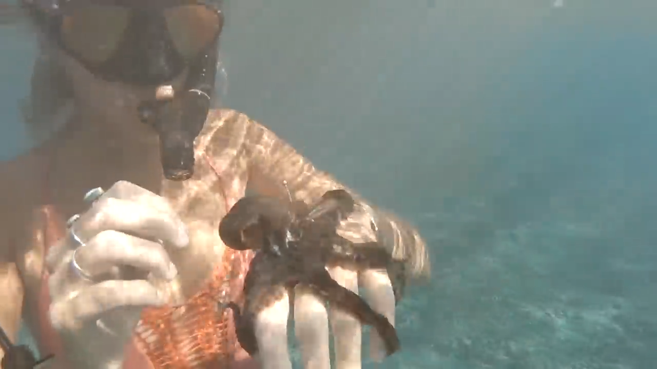 The first time we met our octopus friend!