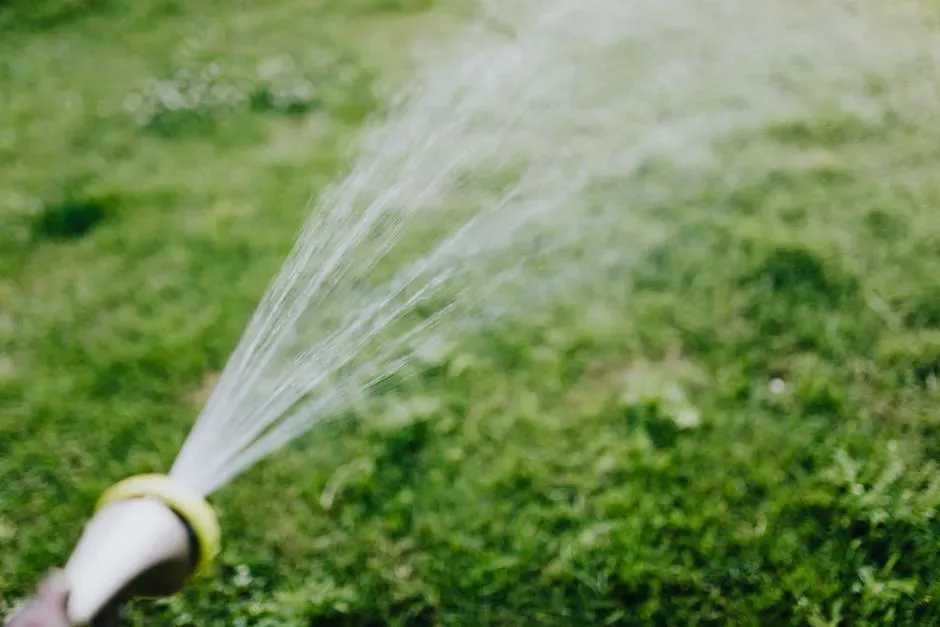 10 lawn care mistakes you should never make after mowing (but most ...