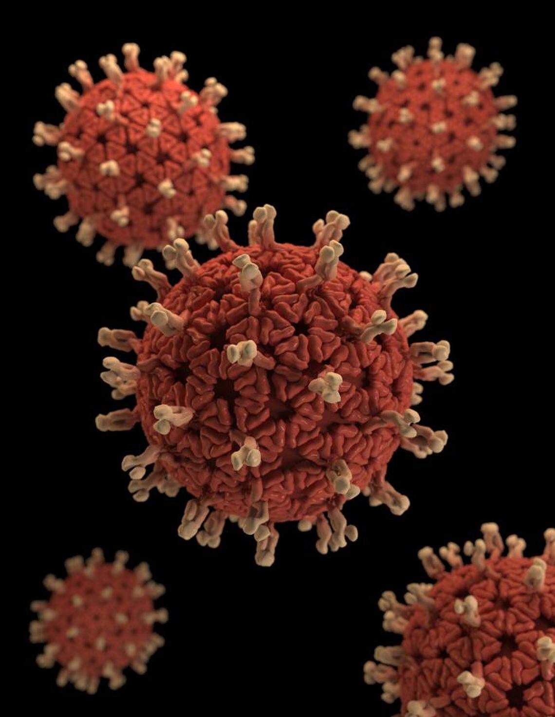 Potentially deadly virus on the rise in Northern California. What is ...