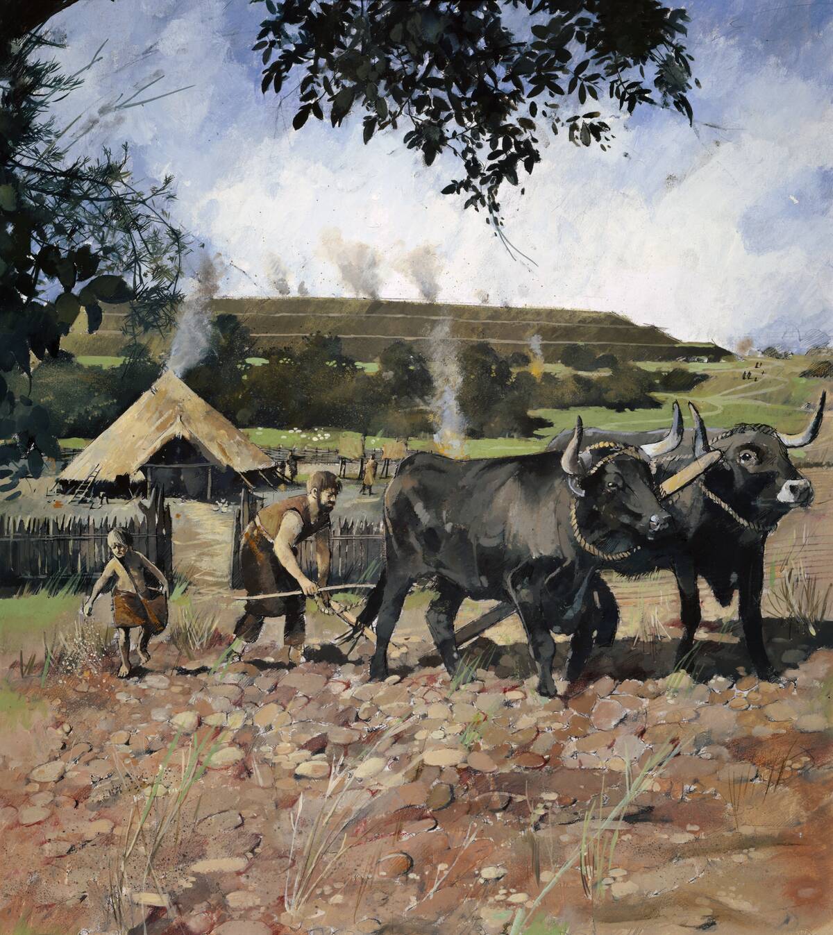 25 traditional farming tools before modern machines