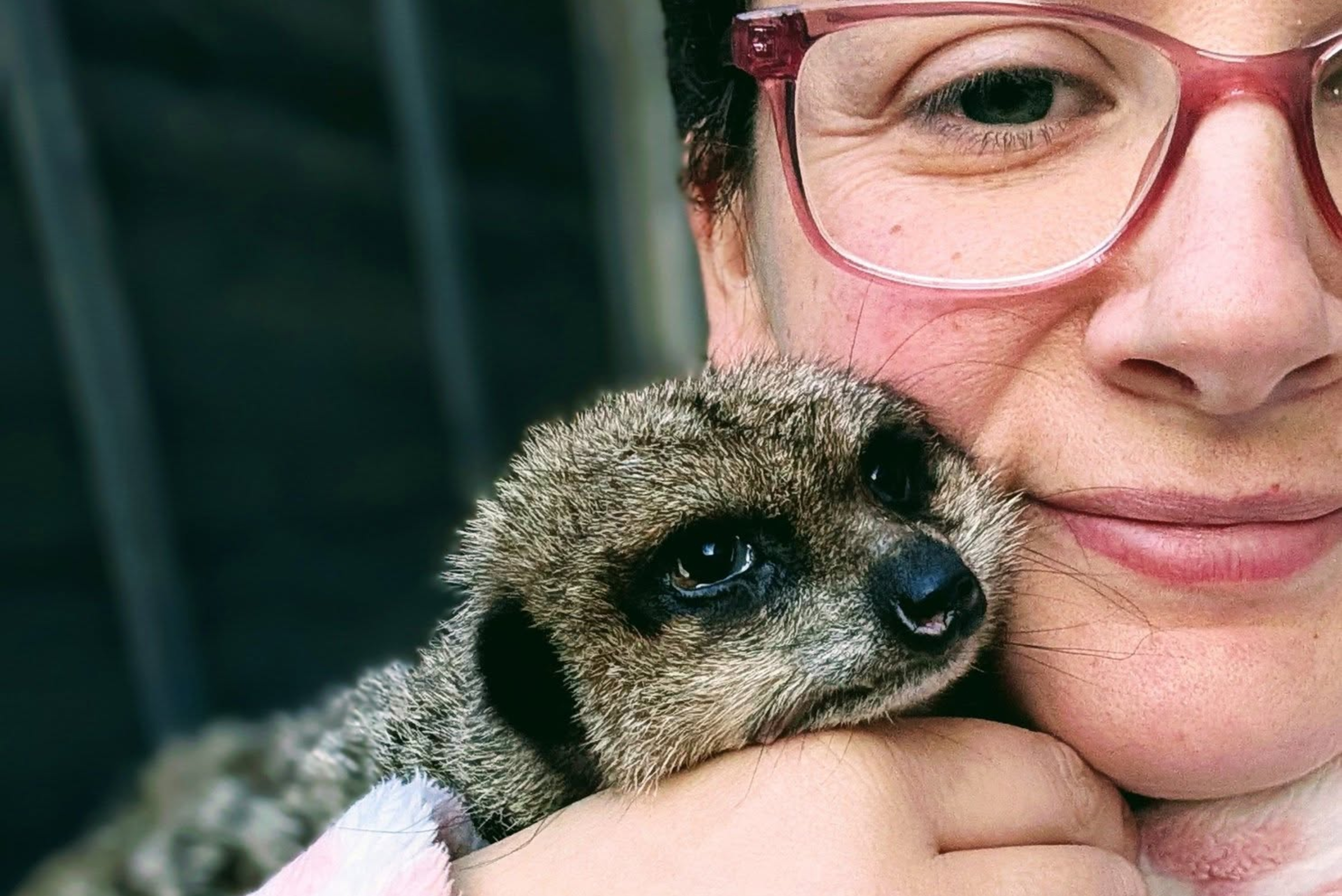 19 of the most unusual pets in Blackpool - from meerkats to tarantulas ...