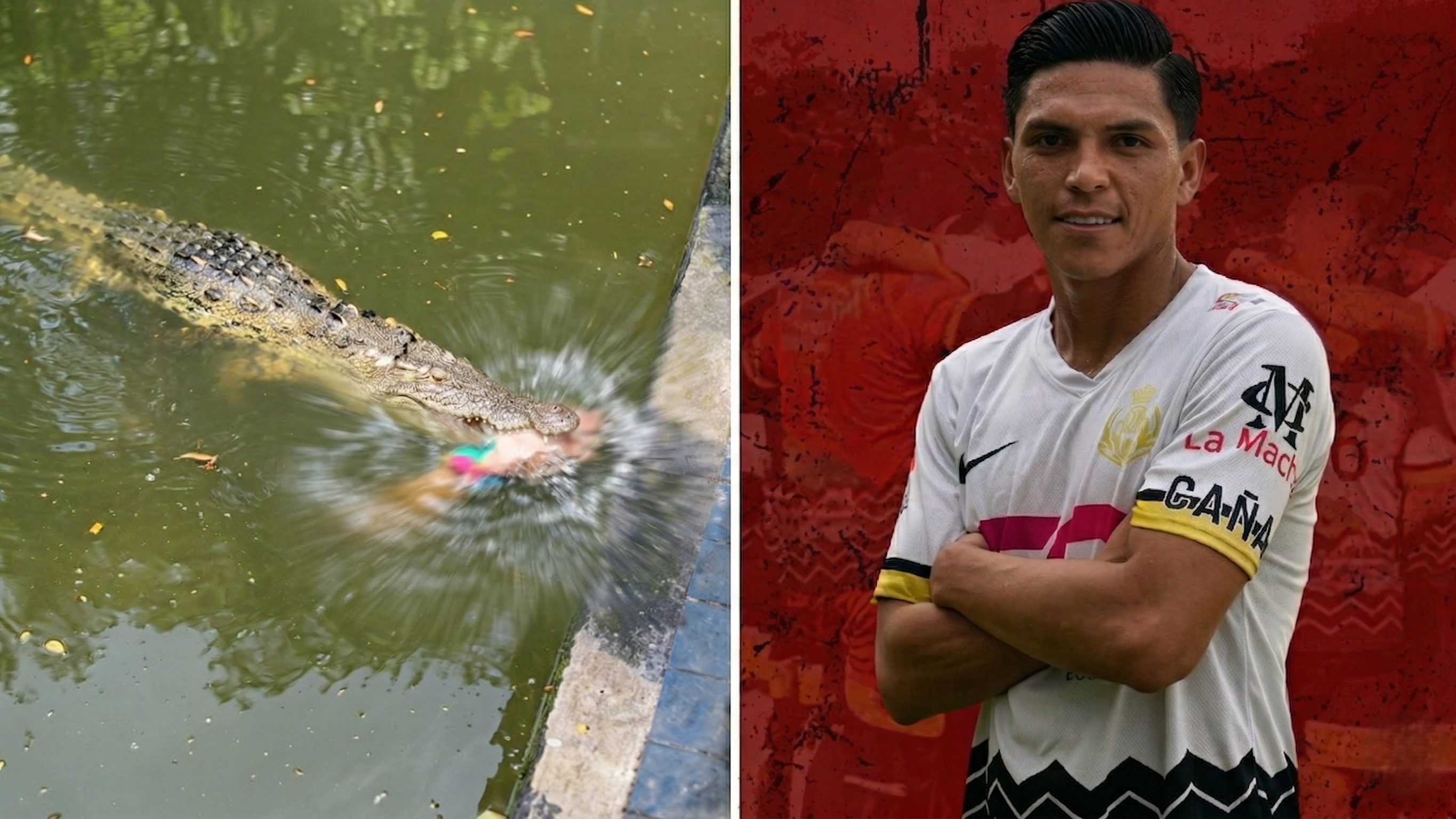 This soccer player was devoured by a crocodile - nobody could retrieve ...