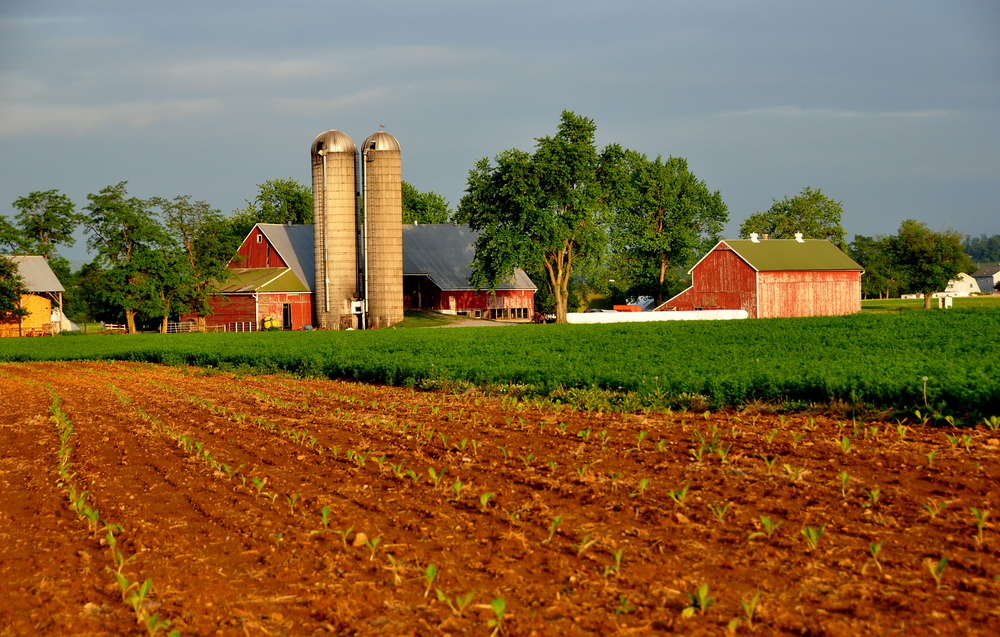 15 tips for a perfect weekend stay at a Pennsylvania farm