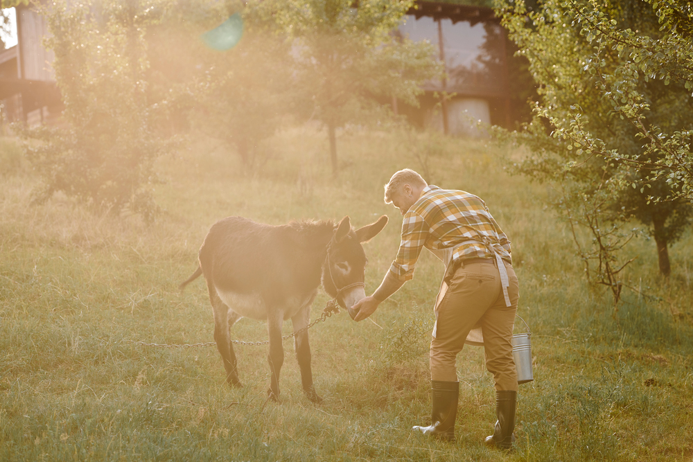 15 tips for a perfect weekend stay at a Pennsylvania farm
