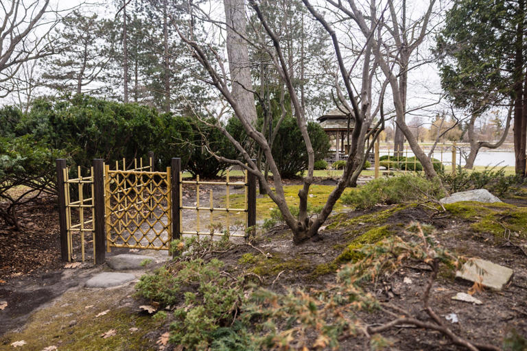 Immerse yourself in Japanese culture at one of Michigan’s only ...