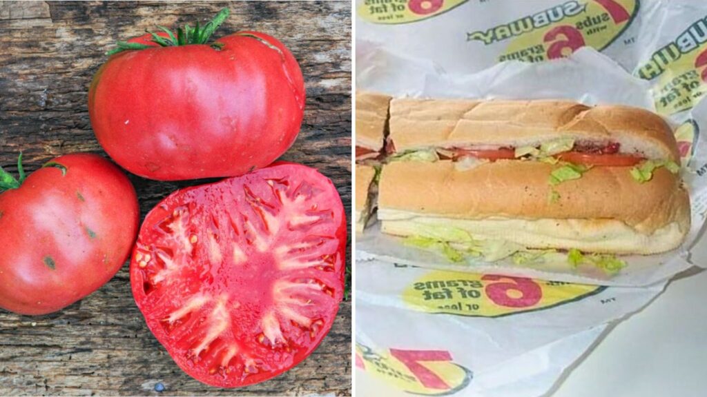 25 foods that tasted better before they were improved