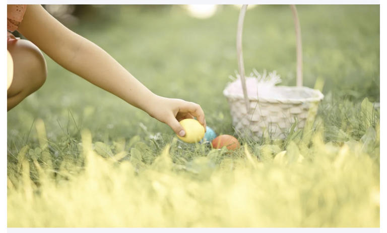 Baby among three killed after tree collapses during Easter egg hunt