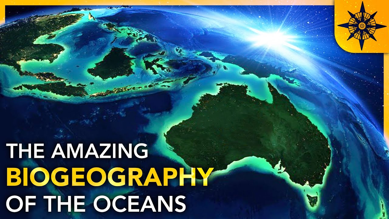 Ocean vs. land – how life distributes across the sea