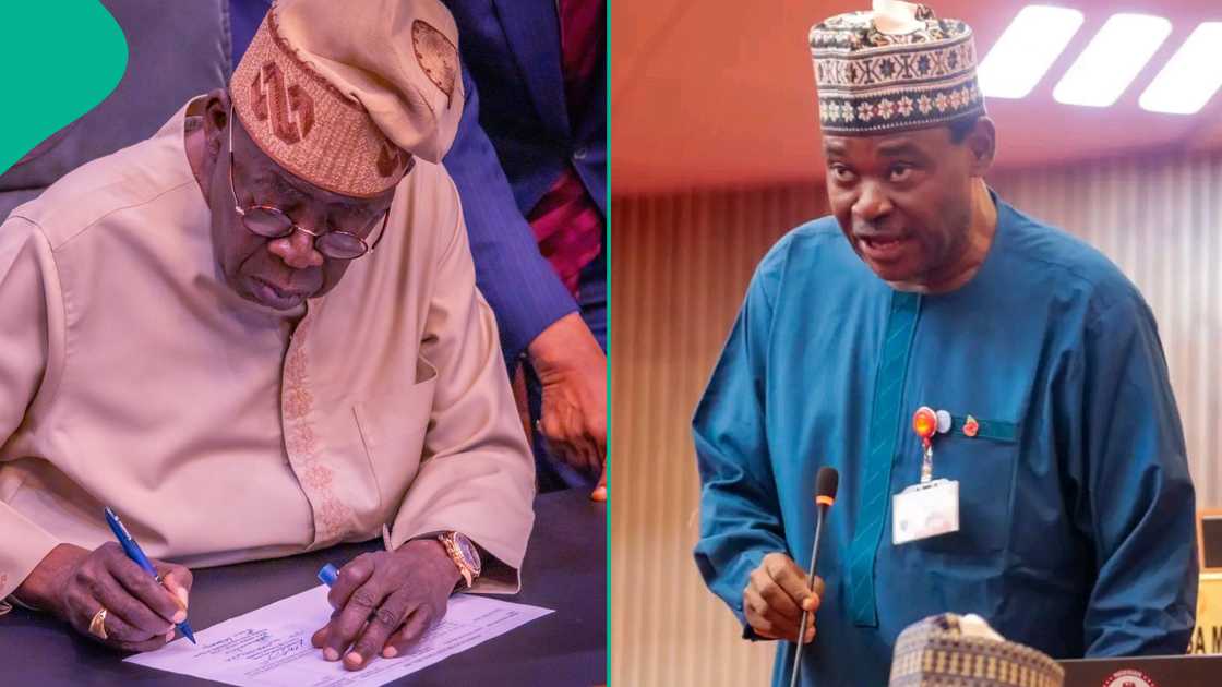 Jubilation as Tinubu's recent appointee wins major election