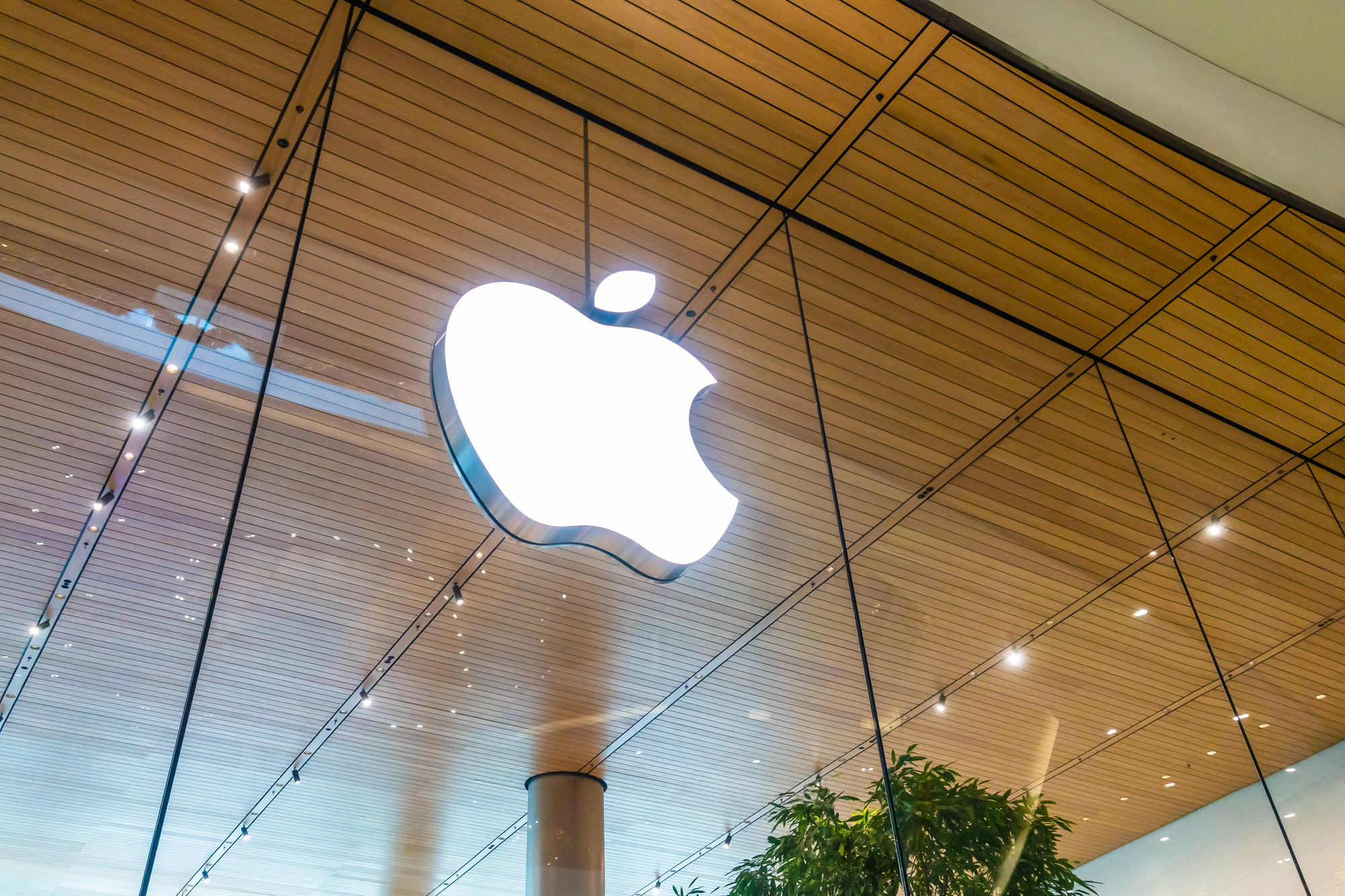 Bizarre facts about the creation of the iPhone