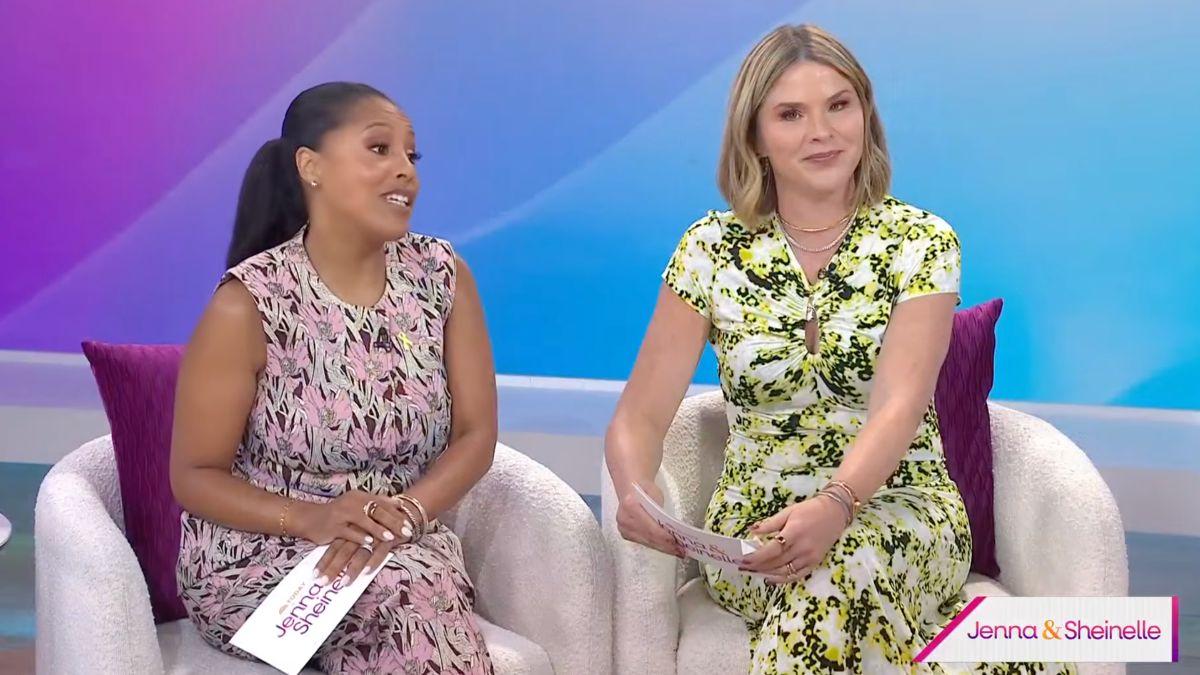 Jenna Bush Hager and Sheinelle Jones admire 'brave' Savannah Guthrie's ...